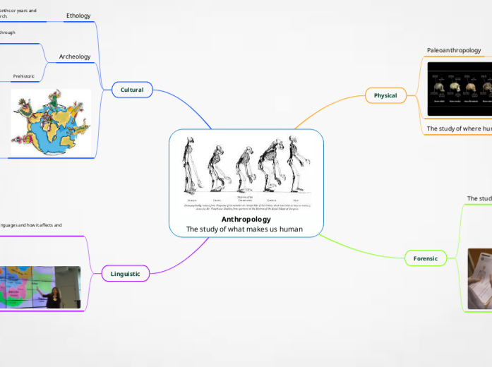 Anthropology The study of what makes us hu...- Mind Map